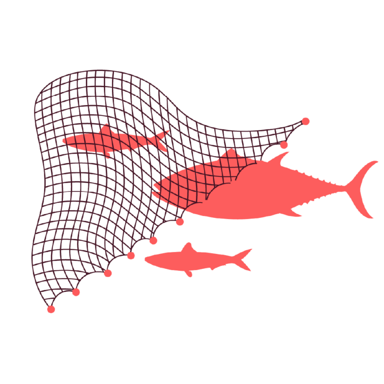 Why protect species - IUCN SOS