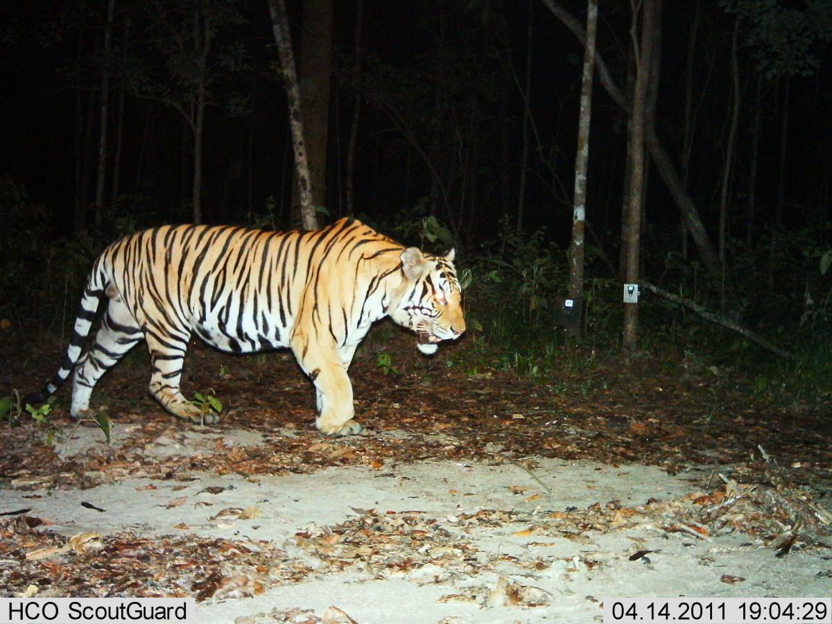 SMARTer Conservation - IUCN SOS