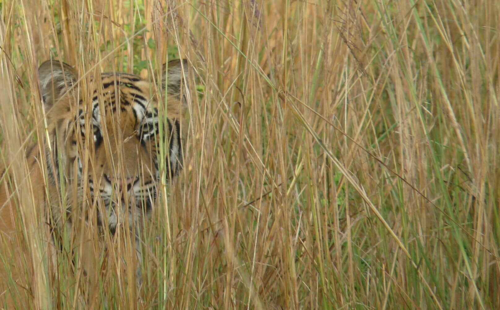 2015-2021 impact report - IUCN SOS