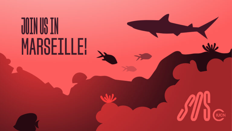 Species migration: movement and conservation challenges - IUCN SOS