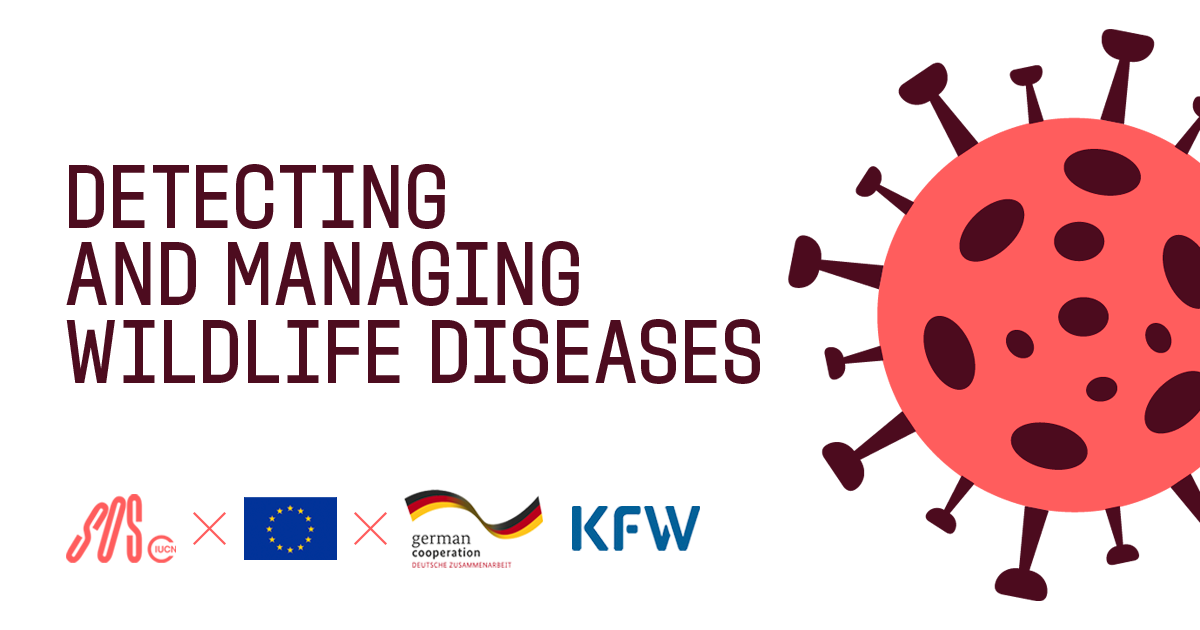 Watch our Webinar on Effectively Detecting and Managing Wildlife ...