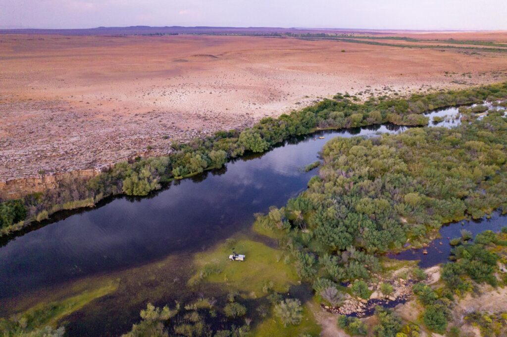 Saving South Africa’s Most Threatened Migratory Freshwater Fish - IUCN SOS