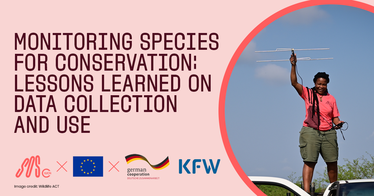 Watch our webinar on species monitoring and data collection - IUCN SOS
