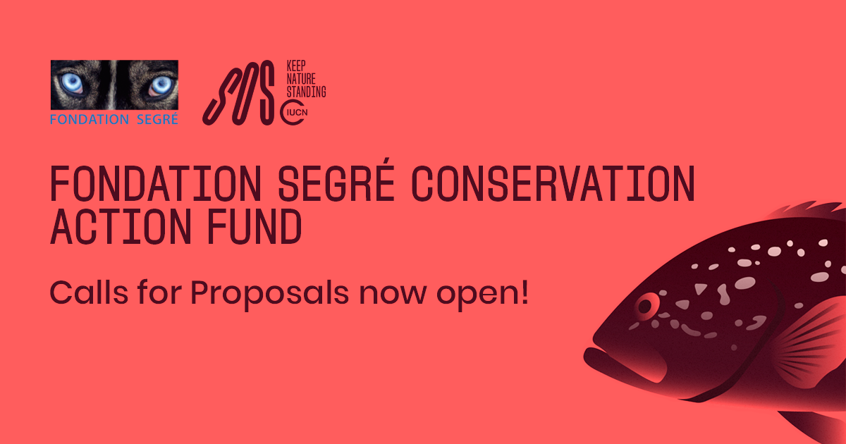 Third calls for proposals for the Fondation Segré Conservation Action ...
