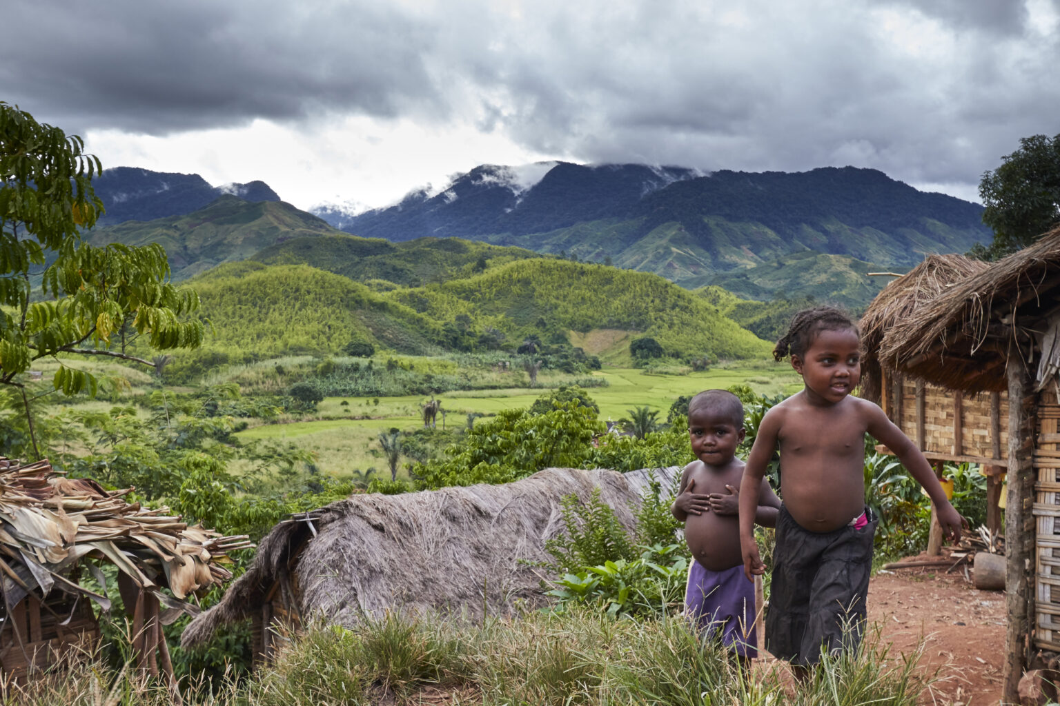 SOS Lemurs - IUCN SOS