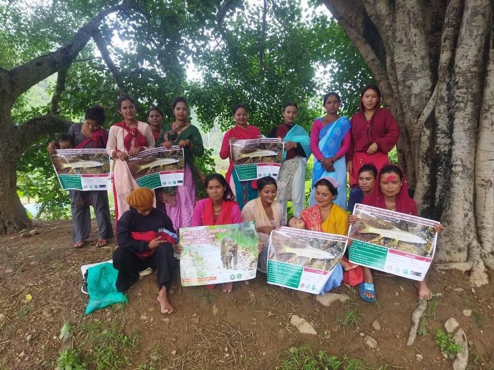 Saving Endangered Tor putitora in the Himalayan foothills - IUCN SOS