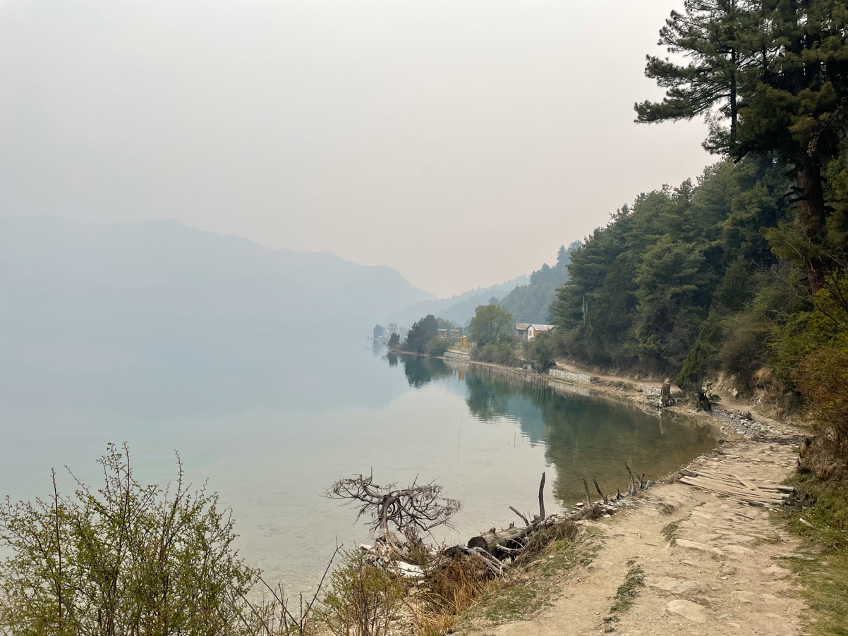 Understanding how environmental variables influence Critically ...