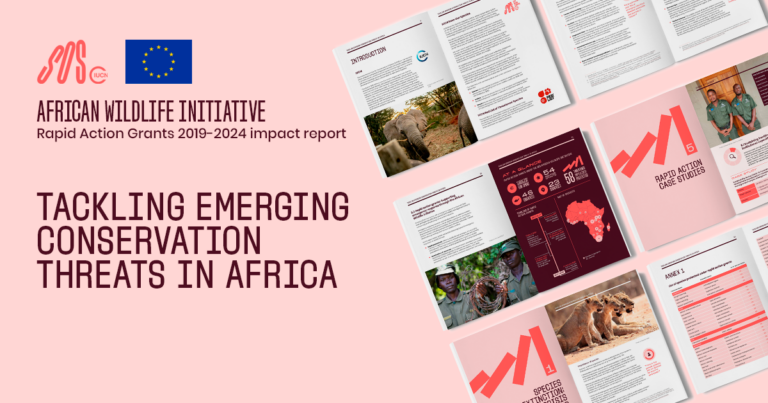 Rapid action grants: New impact report and webinar from IUCN Save Our Species - IUCN SOS