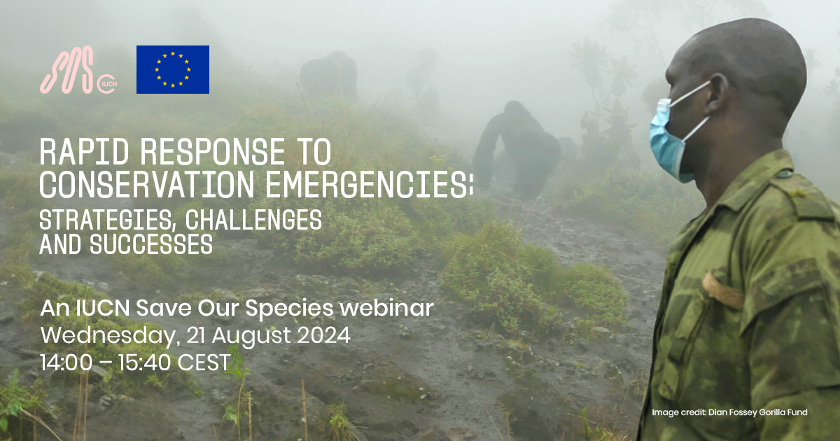 Watch our webinar on our rapid action grants that supported wildlife ...