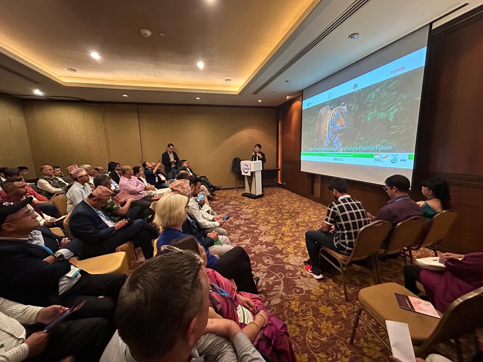 IUCN’s Tiger Programme and Global Species Action Plan highlighted at ...