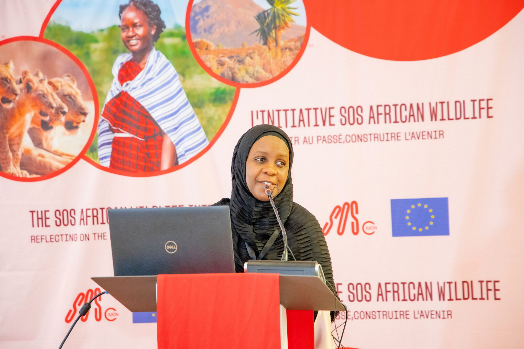 Celebrating conservation successes: lessons learned from the SOS ...