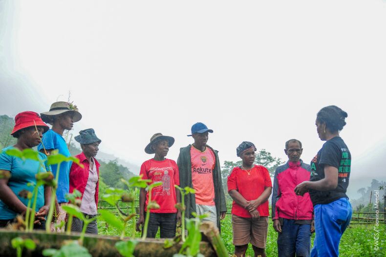 Voices of the Forest: Community Conservation of Lemurs in Makira