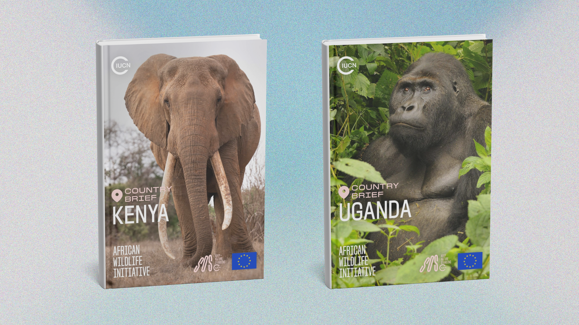 New IUCN African Wildlife Initiative country briefs highlight conservation progress across East ...