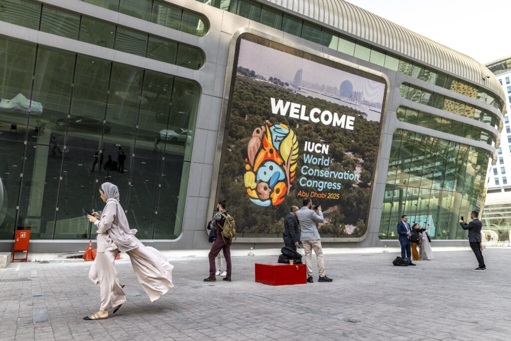 Five key takeaways for conservation action from the IUCN Congress 2025 ...