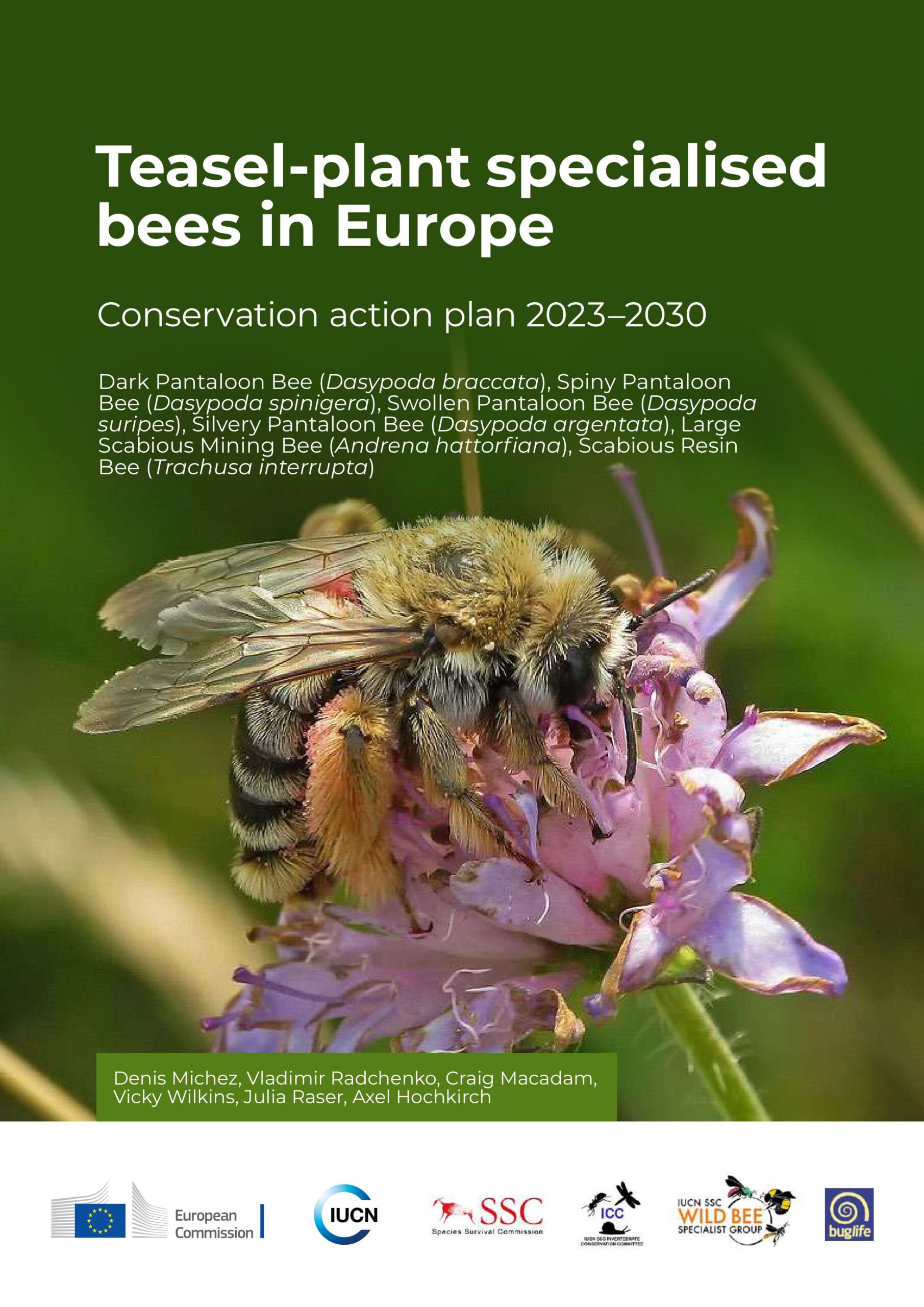 A conservation action plan to protect Europe’s teasel-plant bees - IUCN SOS