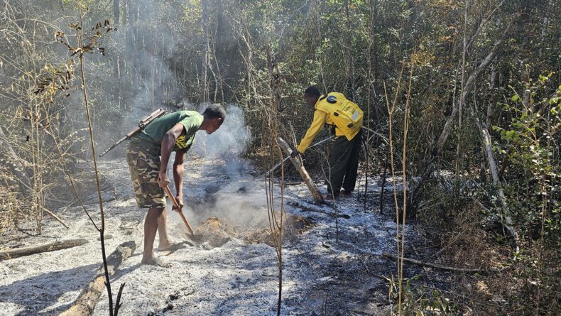 Strengthening protection efforts in the Kirindy Menabe forest, a ...